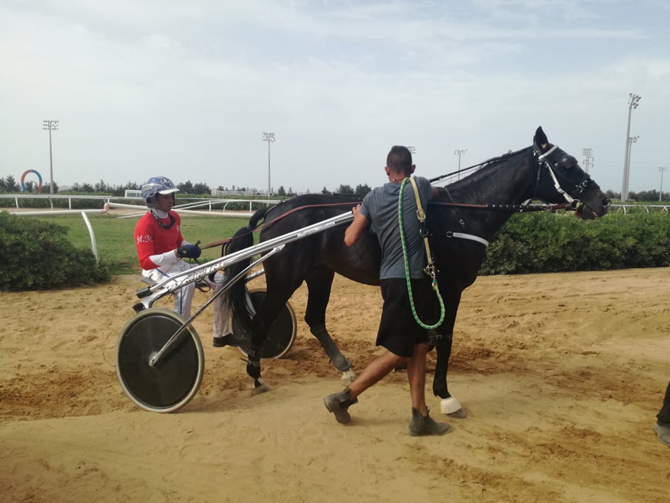 Ippica: Trotto, Sessa e La Porta in finale al Trofeo Regioni d’Italia ...
