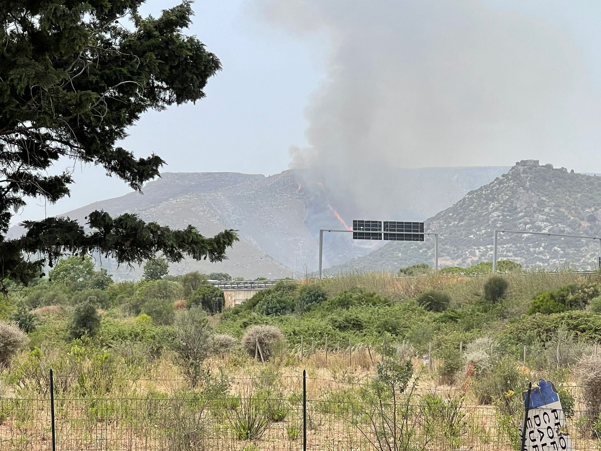 Emergenza incendi, altra giornata campale: fiamme nella riserva di ... Emergenza incendi, altra giornata campale: fiamme nella riserva di ...