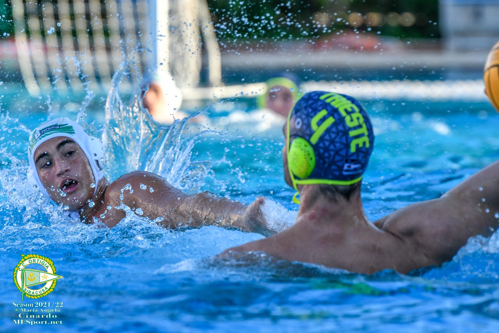 Pallanuoto, Coppa Italia: l'Ortigia sfida Trieste e Nuoto Roma per la ...