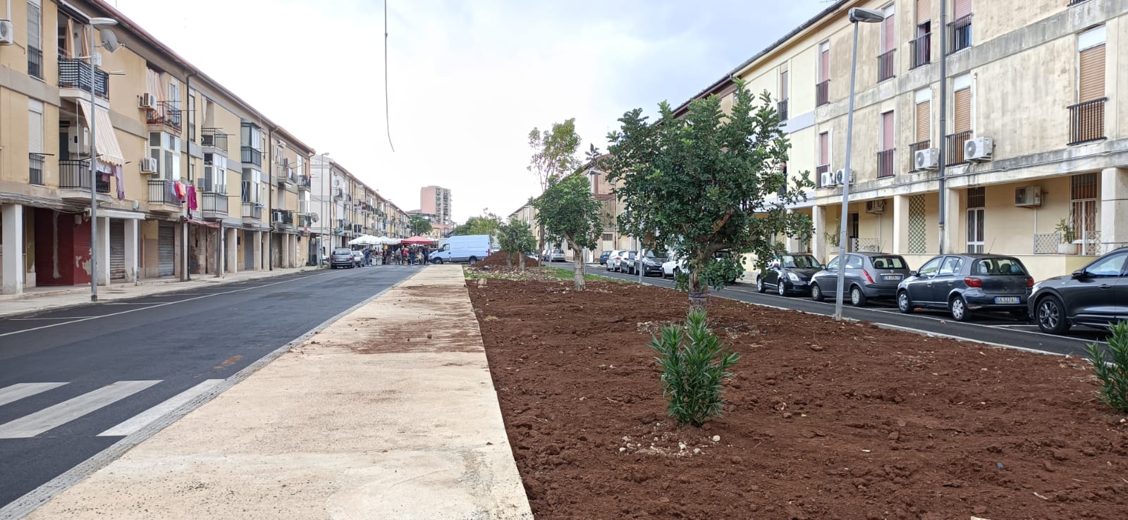 Pronta la nuova area verde di via Giarre: piante autoctone al posto dei ...