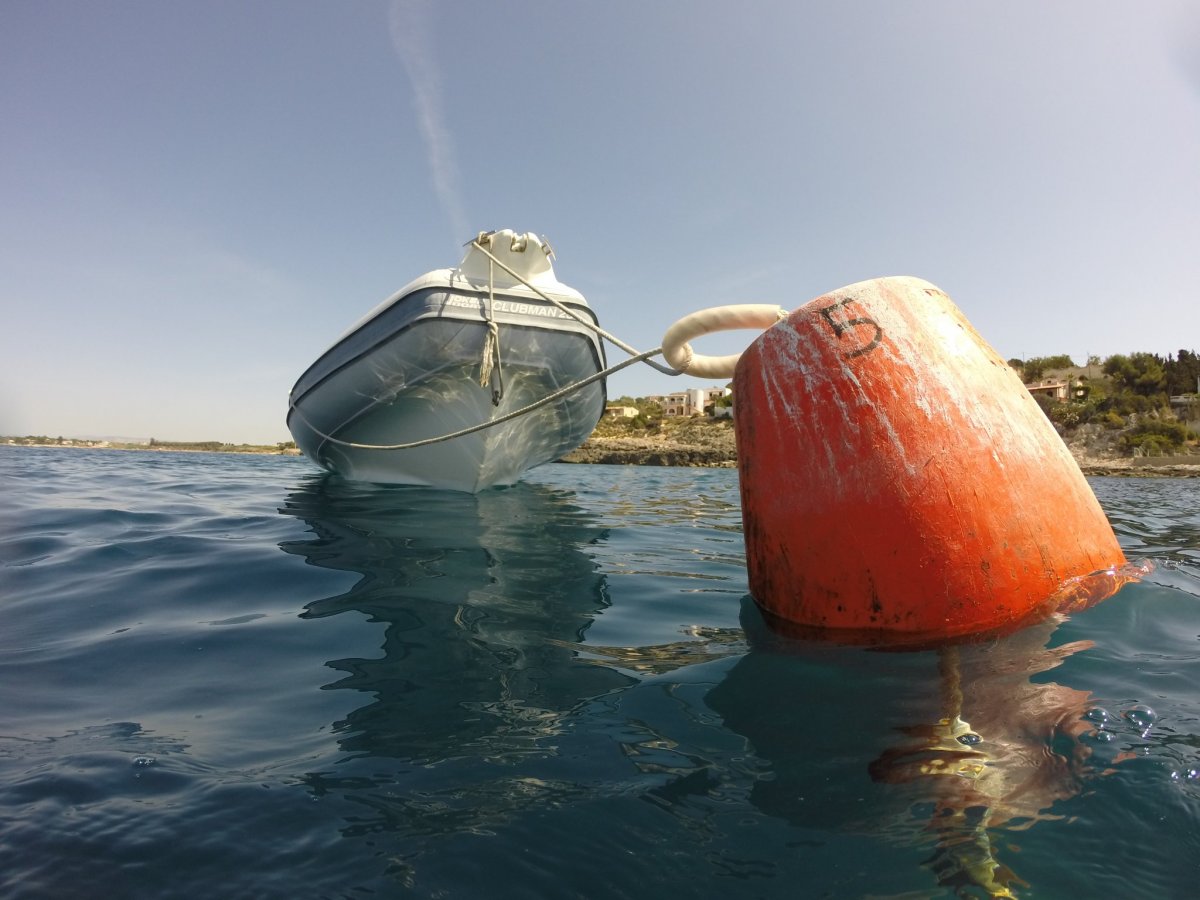 Campo boe in area marina protetta Plemmirio, Insieme: "Abbonamenti non ...