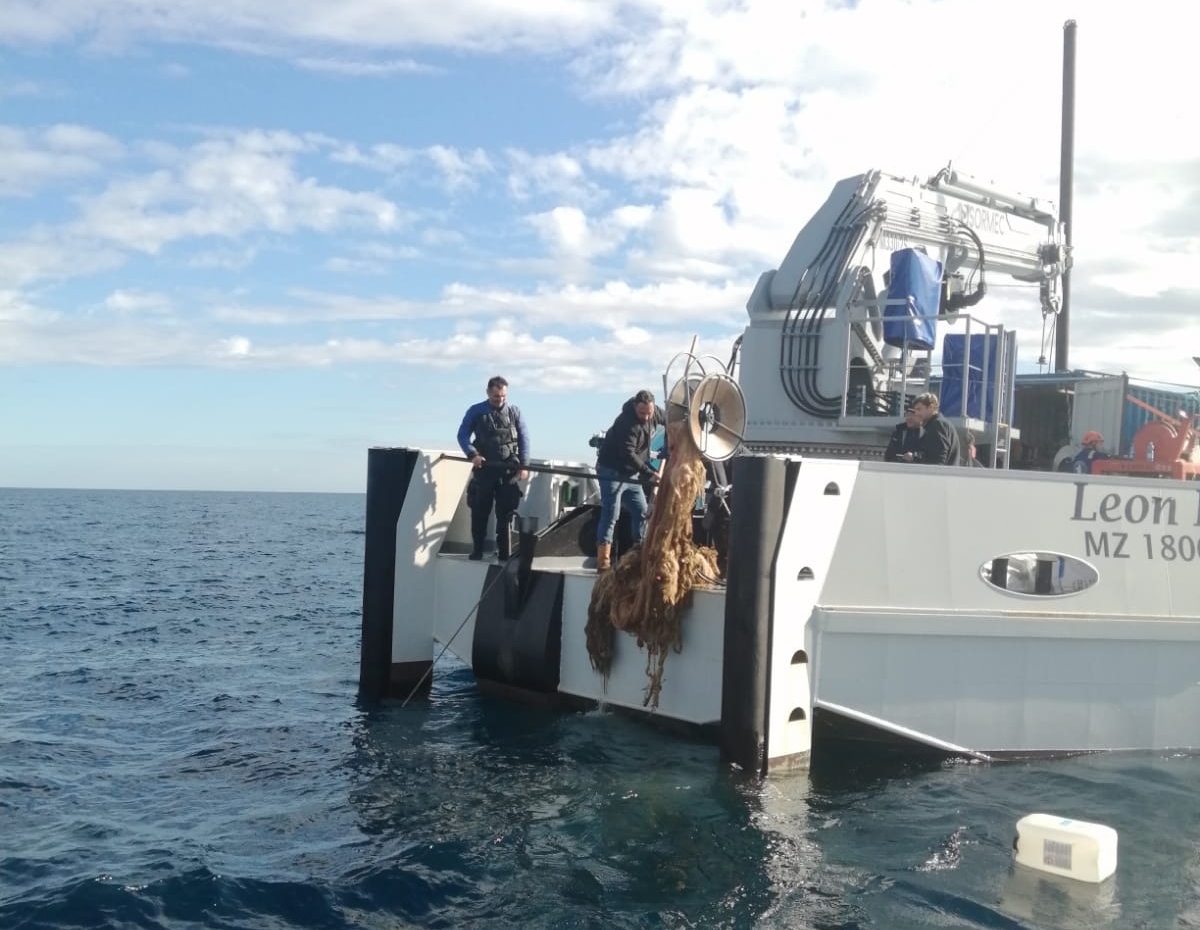 I 'ghostbuster' del mare in azione a Siracusa per rimuovere le ...